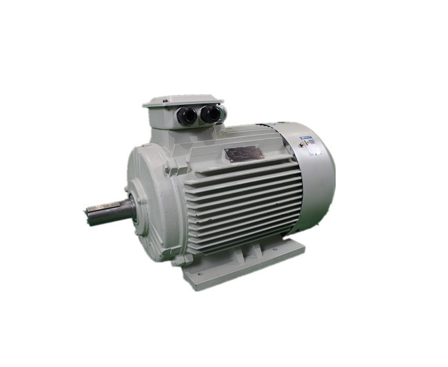 Baja tensión de 11KW 10 poste 12 poste motor YE3 160M1-2 2950RPM de 3 fases
